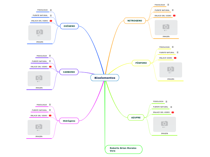 Bioelementos - Mind Map